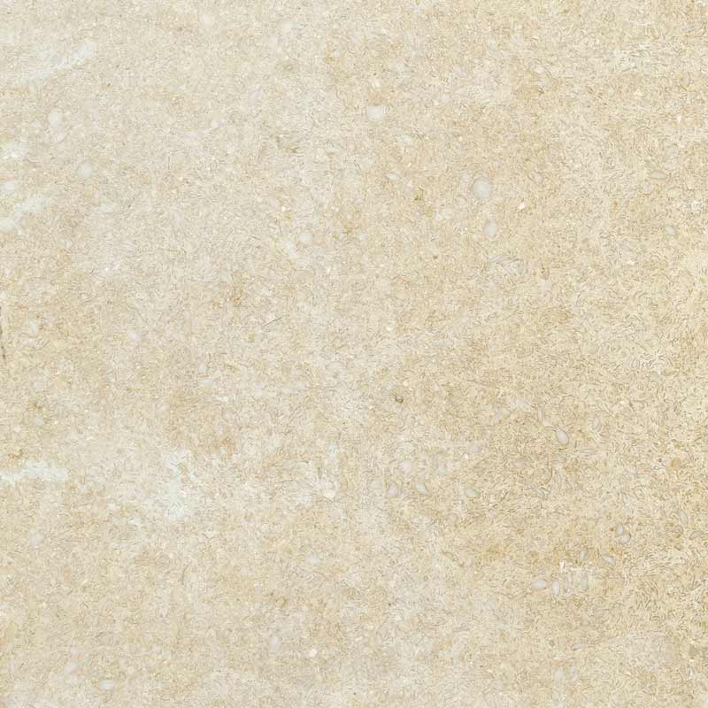 MBS-Seashell-Limestone-Tile-12X12-3 - Mexi-Tile