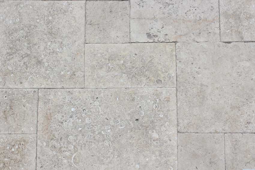 CONCHUELA-VERSAILLES - Mexi-Tile